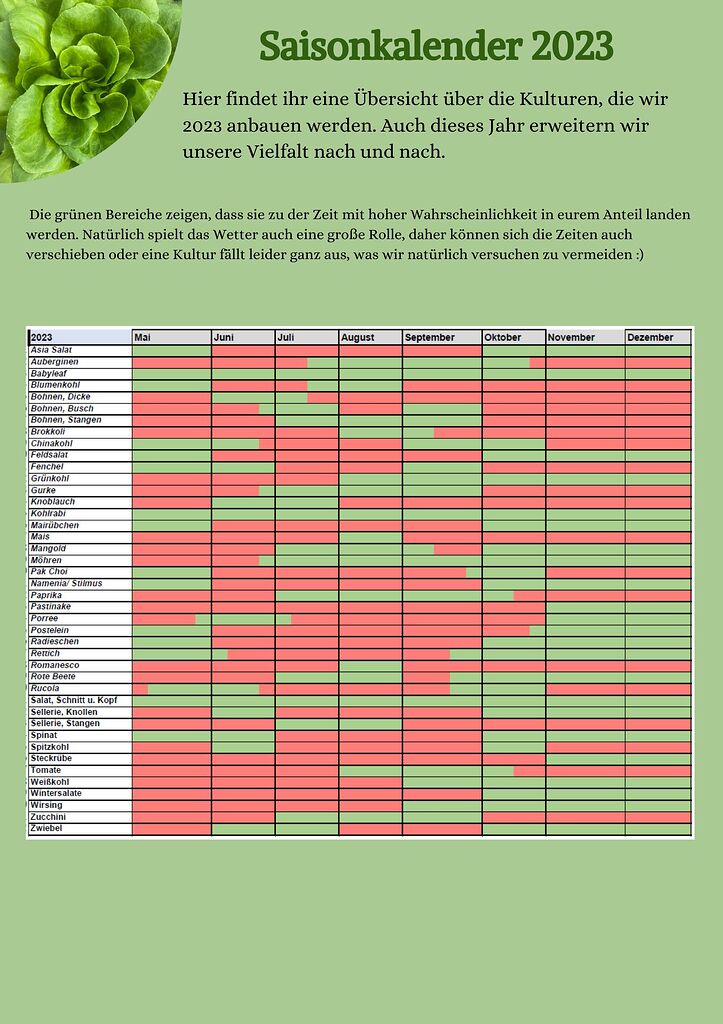 Was ist nächste Woche in meinem Gemüse-Anteil 2023? - Informationen ...